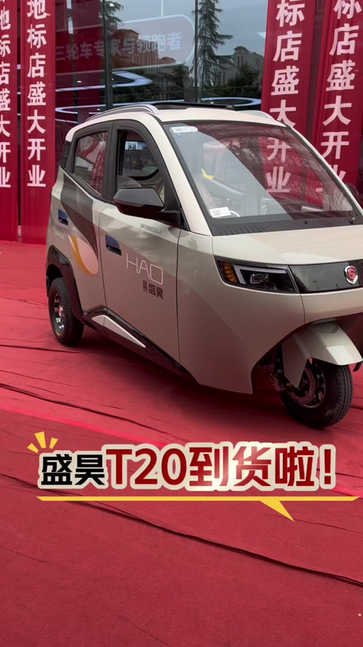 盛昊电动车双闪怎么开图标
