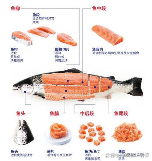三纹鱼冷冻还能生吃吗图标