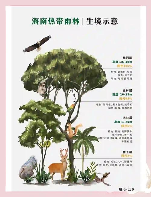 怎么用指令找热带雨林