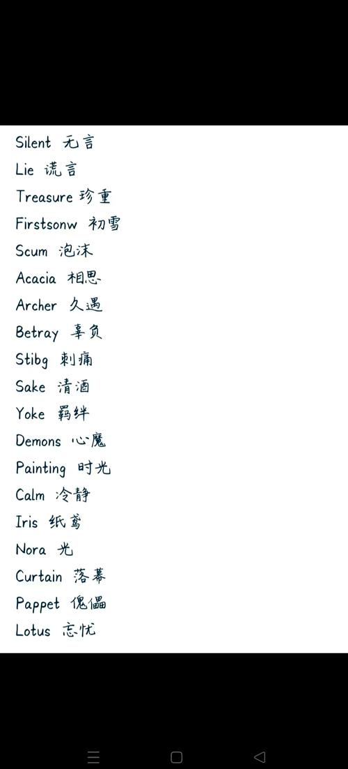 ᪄ᩏᩘ花式英文网名截图
