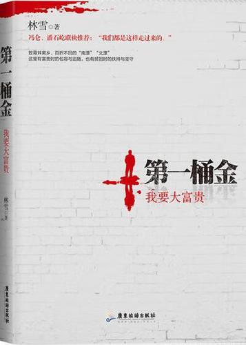 大富贵小说图标