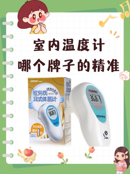室内温度计买哪种最精准