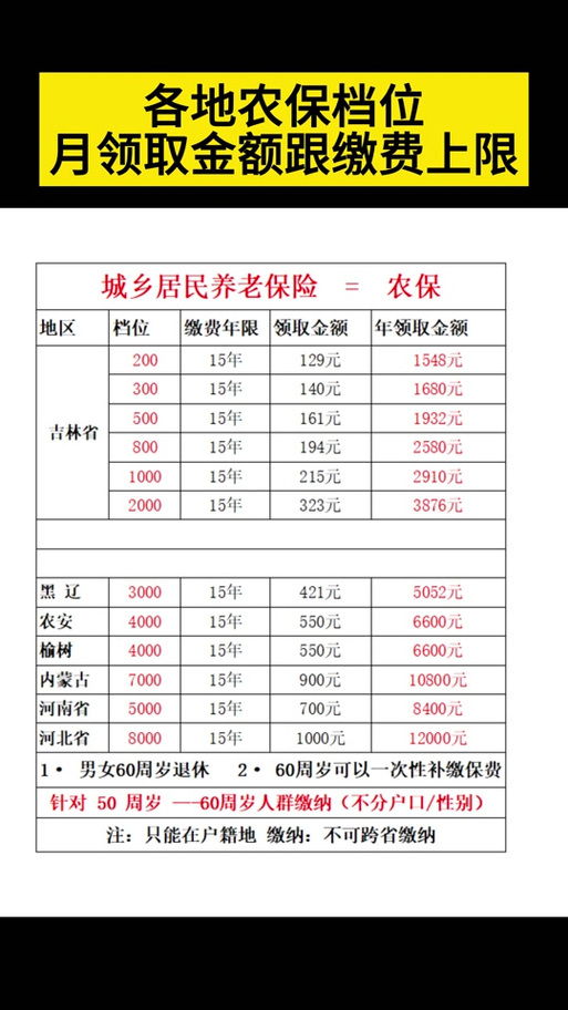 农保查询个人账户缴费明细查询图标