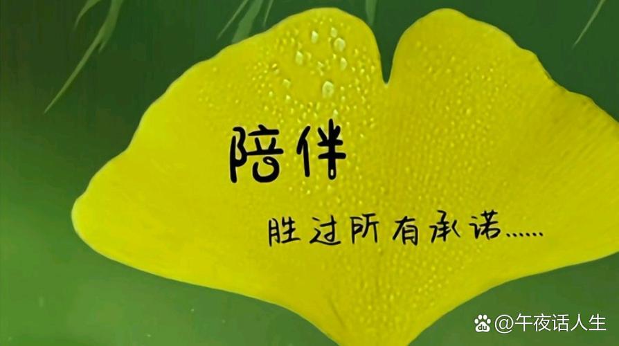 陪陪app更改什么名字了图标