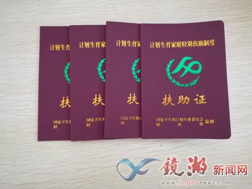 甘肃省计划生育奖扶特扶申报系统