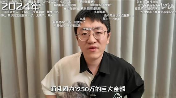 B站29级刷了多少人民币图标