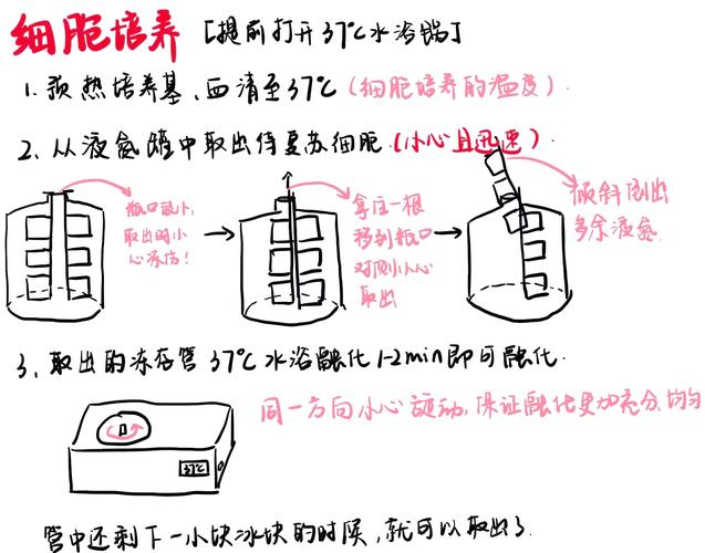 病毒的细胞培养法图标