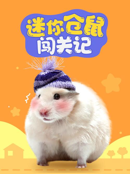 迷你仓鼠闯关记截图