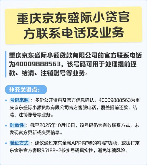 京东盛际小贷官网截图