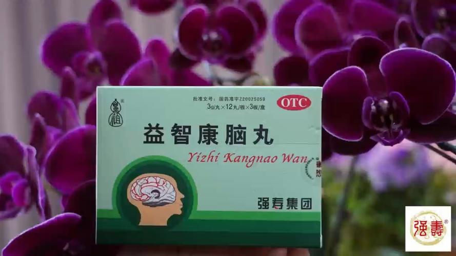 益智康脑丸的功能与主治截图