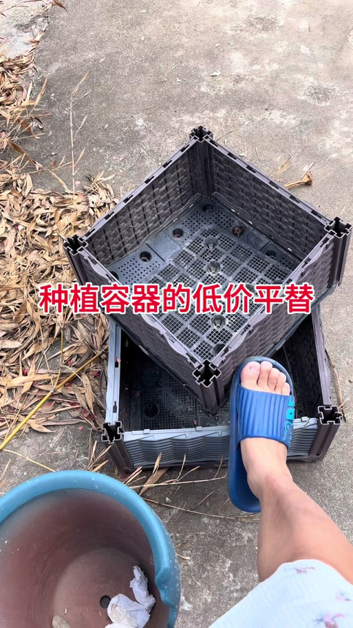 DY启动器直装截图