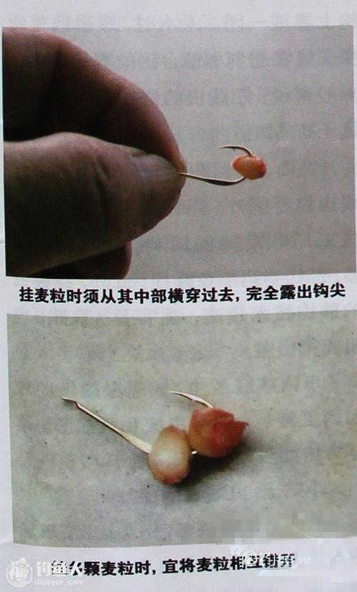 自制麦子钓鱼绝密配方图标