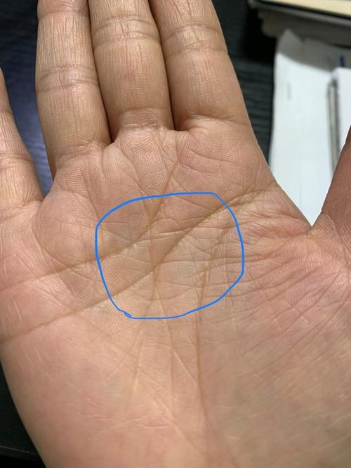 手掌心掌纹图标