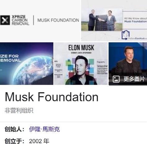马斯克给中国捐多少钱图标