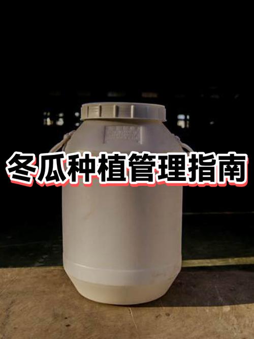 冬瓜种植方法和管理技术图标