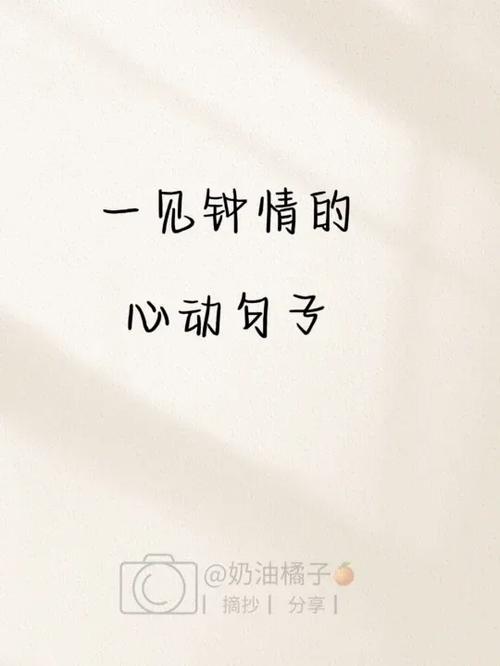打动人心的爱情句子图标
