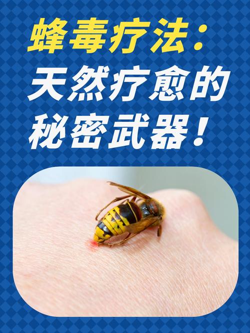 蜂毒免费阅读更新版图标
