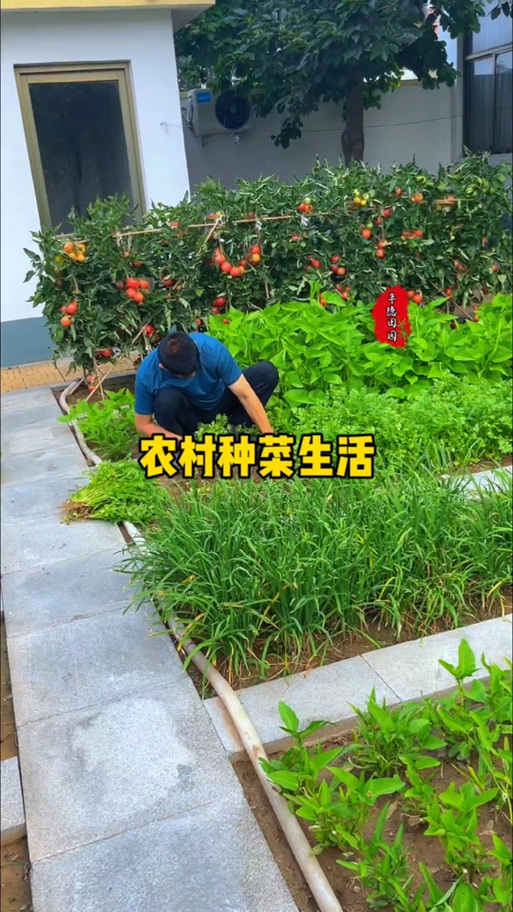 自己种菜是一种生活享受图标