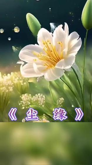 《尘缘》烟嗓版图标