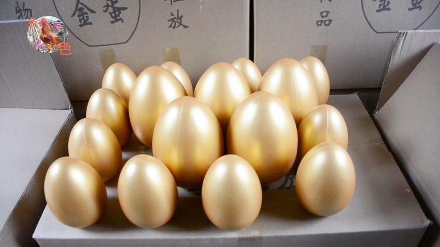 造金蛋机子视频图标