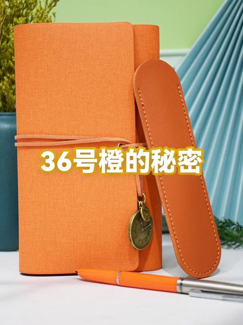 橙色钱包颜色的含义图标