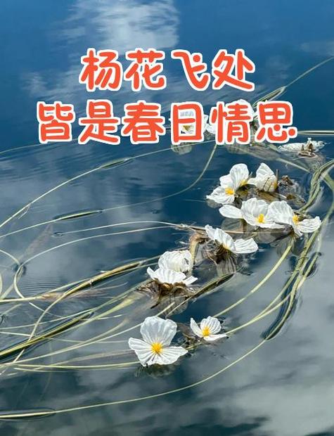 日长睡起无情思的下一句图标