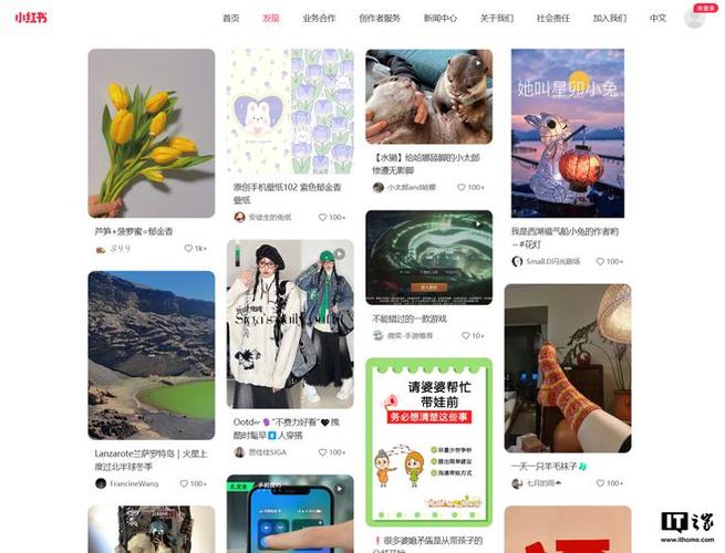 小红书mac版截图