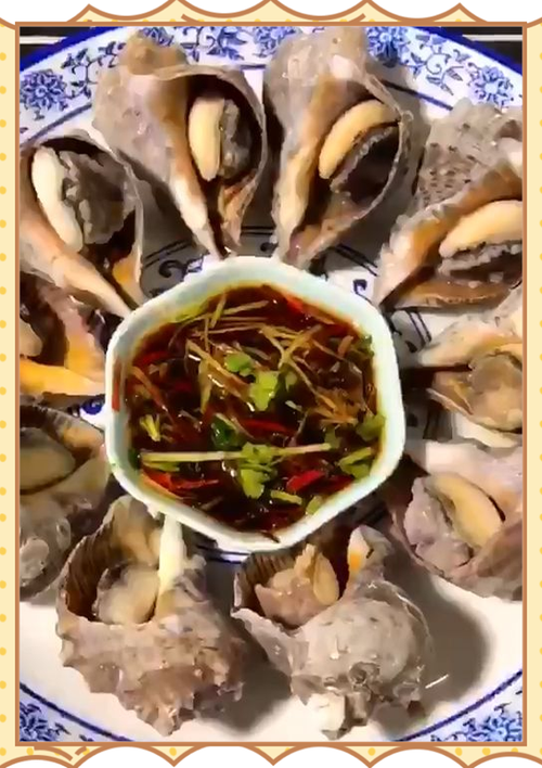 大海螺水开煮10分钟好吗图标