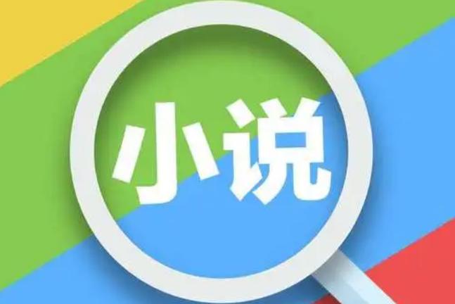 一个叫小说搜索的软件图标