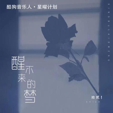 醒不来的梦日语版截图