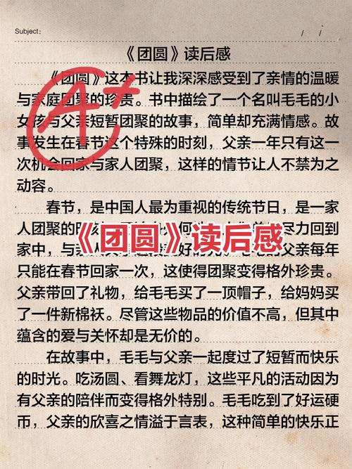 大团圆闪闪发光在线阅读全文图标