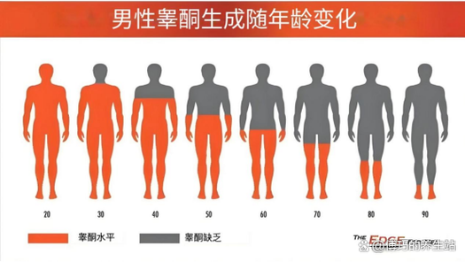 睾酮低的男人表现图标