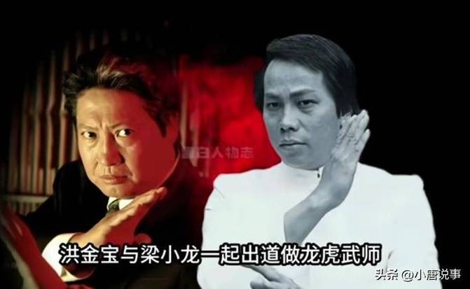 梁小龙和洪金宝谁厉害截图
