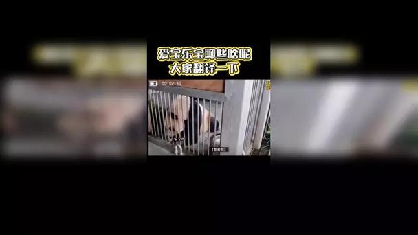 乐宝聊截图