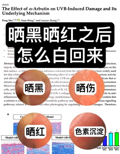 脸晒黑了最快恢复办法图标