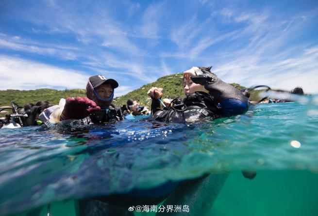 海底捞怎么付钱图标