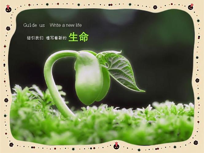 人生最极致的快乐截图