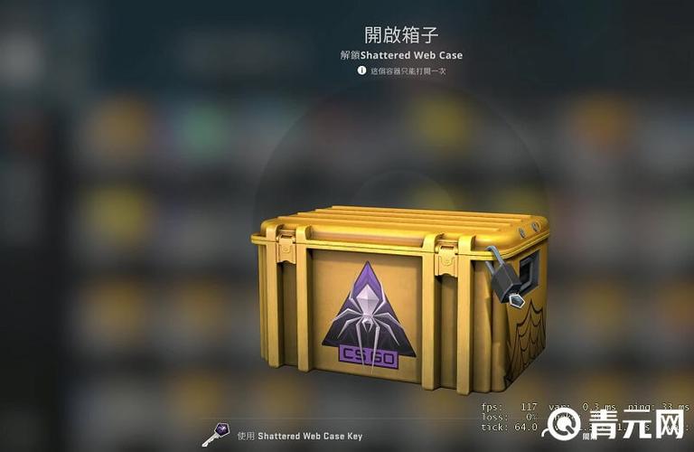 csgo箱子去哪买游戏截图
