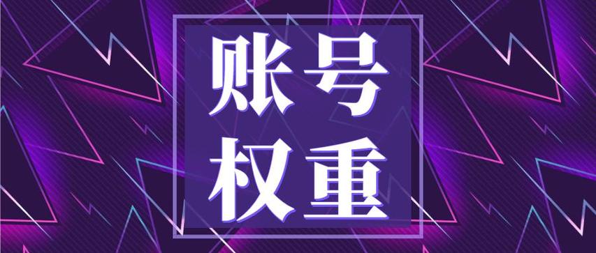 账号权重是什么意思图标