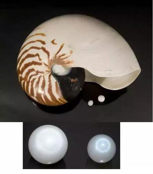 英雄珍珠掉色原因