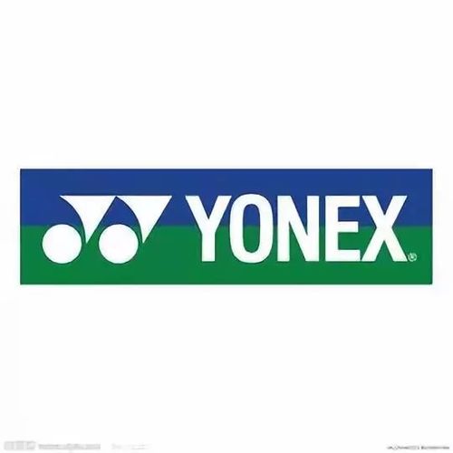 羽毛球拍品牌logo大全图标