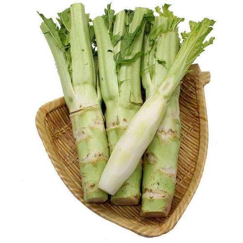芥菜头是什么菜图标