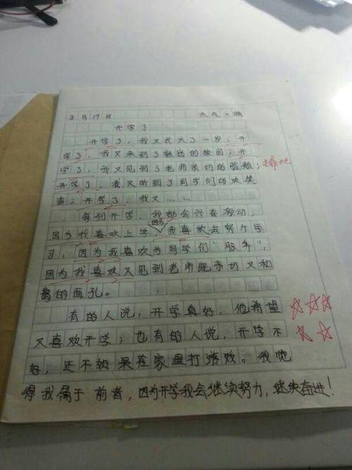 日记开学计划200字截图