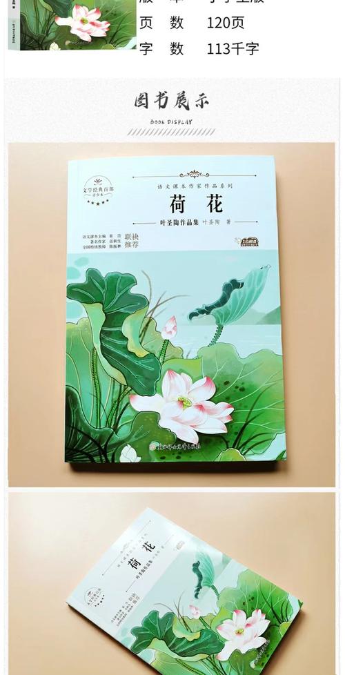 荷花书包网在线阅读截图