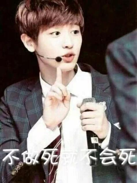 人不作死最精辟的句子图标