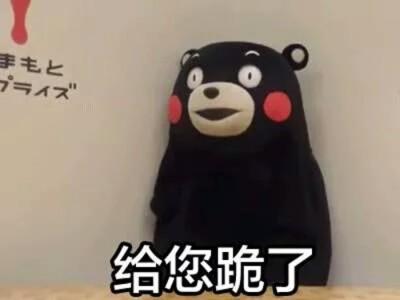 给跪表情包图标