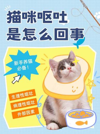 猫猫呕吐是怎么回事呀截图