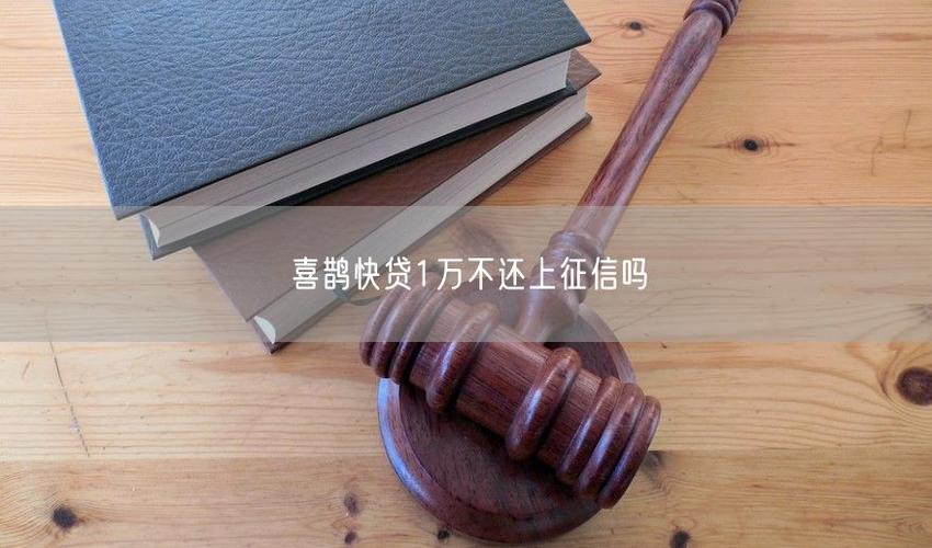 喜鹊快贷报警有用吗