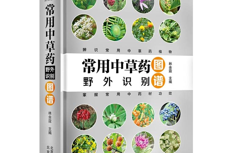 草药扫一扫识别名称图标