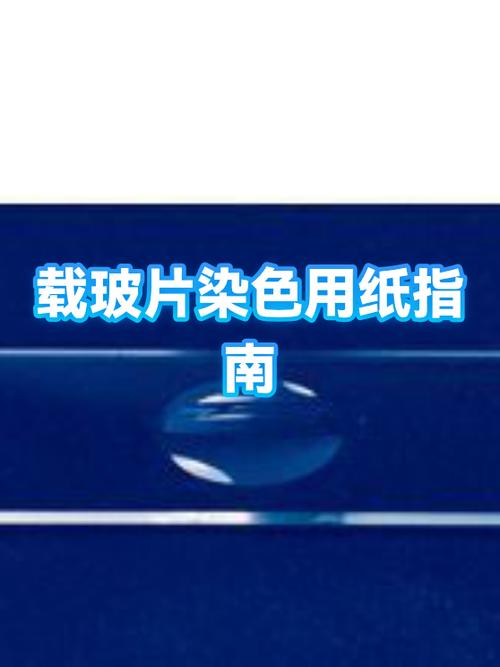 黑色染色剂一般浸泡多久
